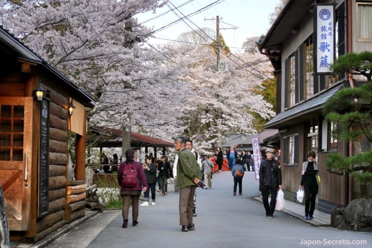 Yoshino, el monte con miles de cerezos en flor en Nara | Japón Secreto ⛩️