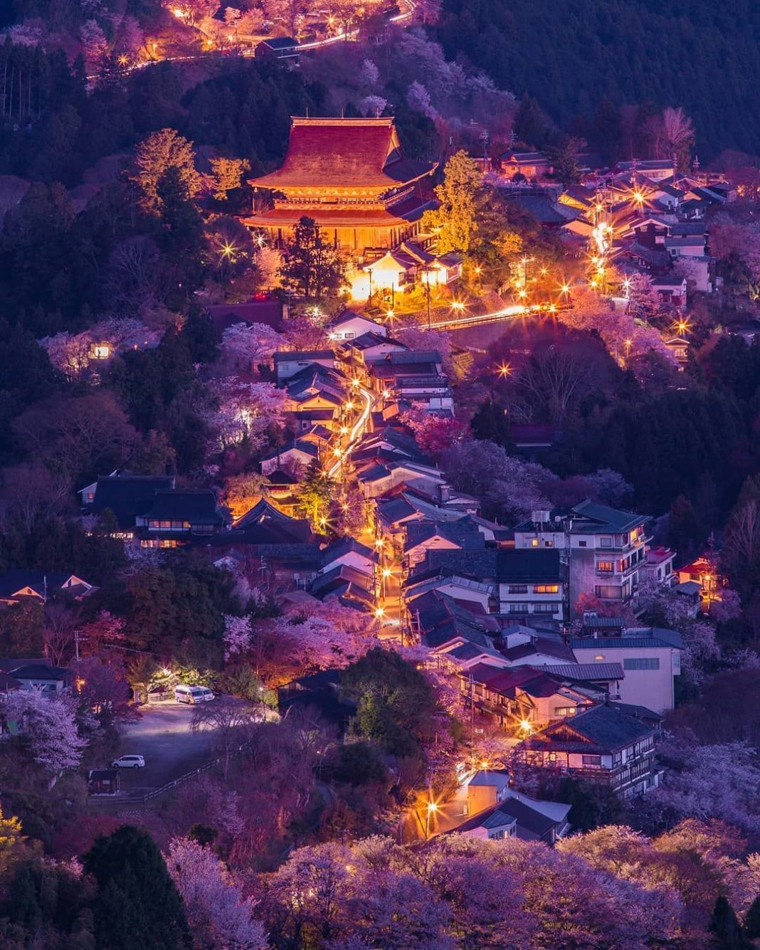 Yoshino, el monte con miles de cerezos en flor en Nara | Japón Secreto ⛩️