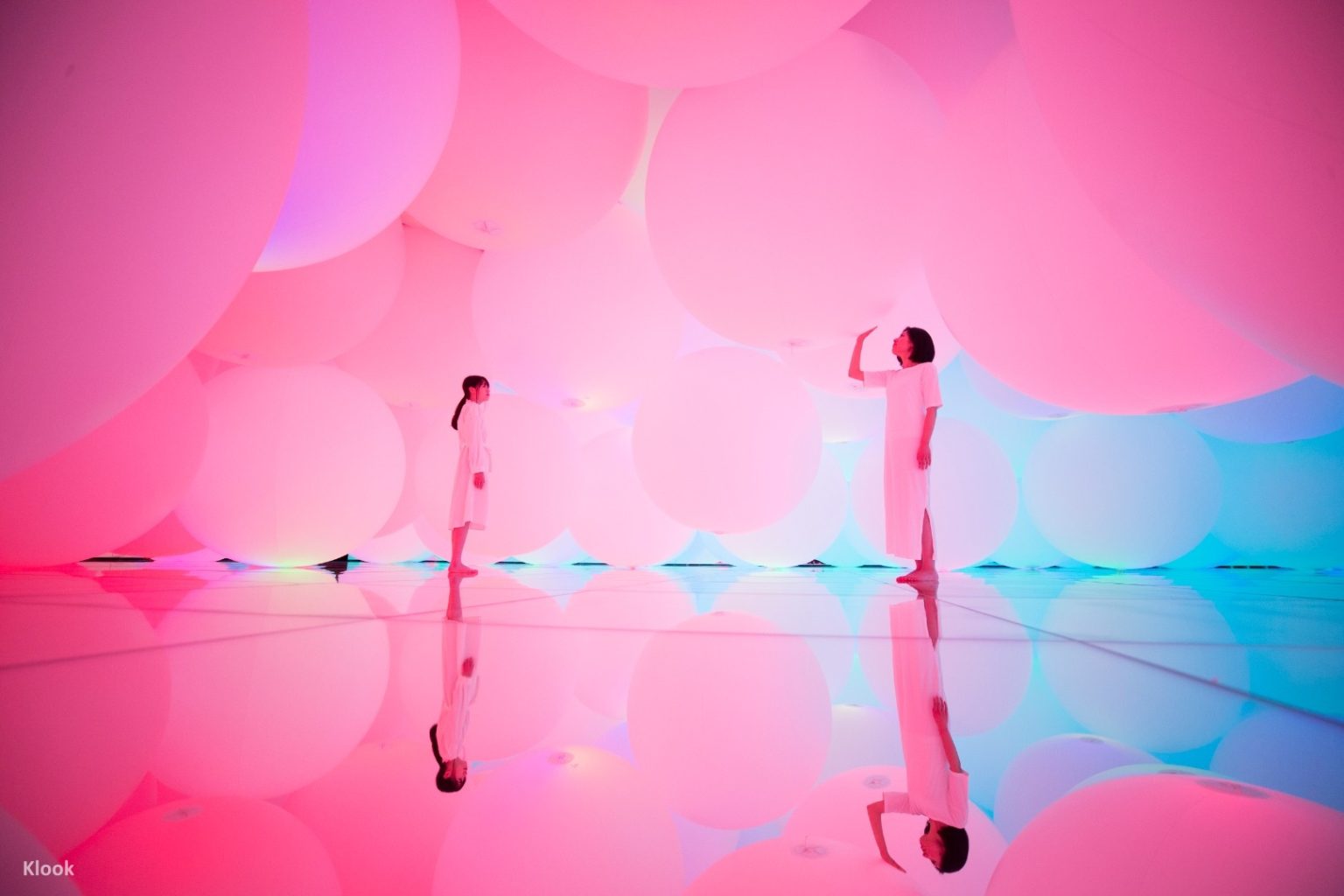 Entradas para TeamLab Borderless, GRAN museo digital en Tokio